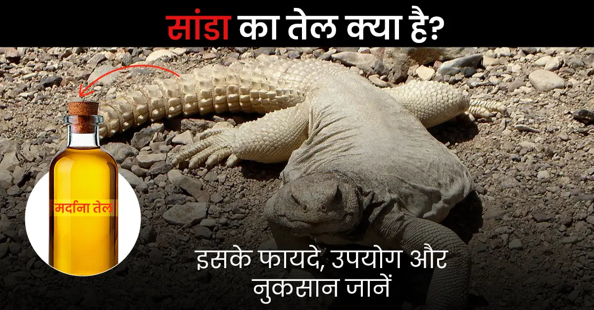 सांडा का तेल क्या है? इसके फायदे, उपयोग और नुकसान जानें — Sande ka Oil ...