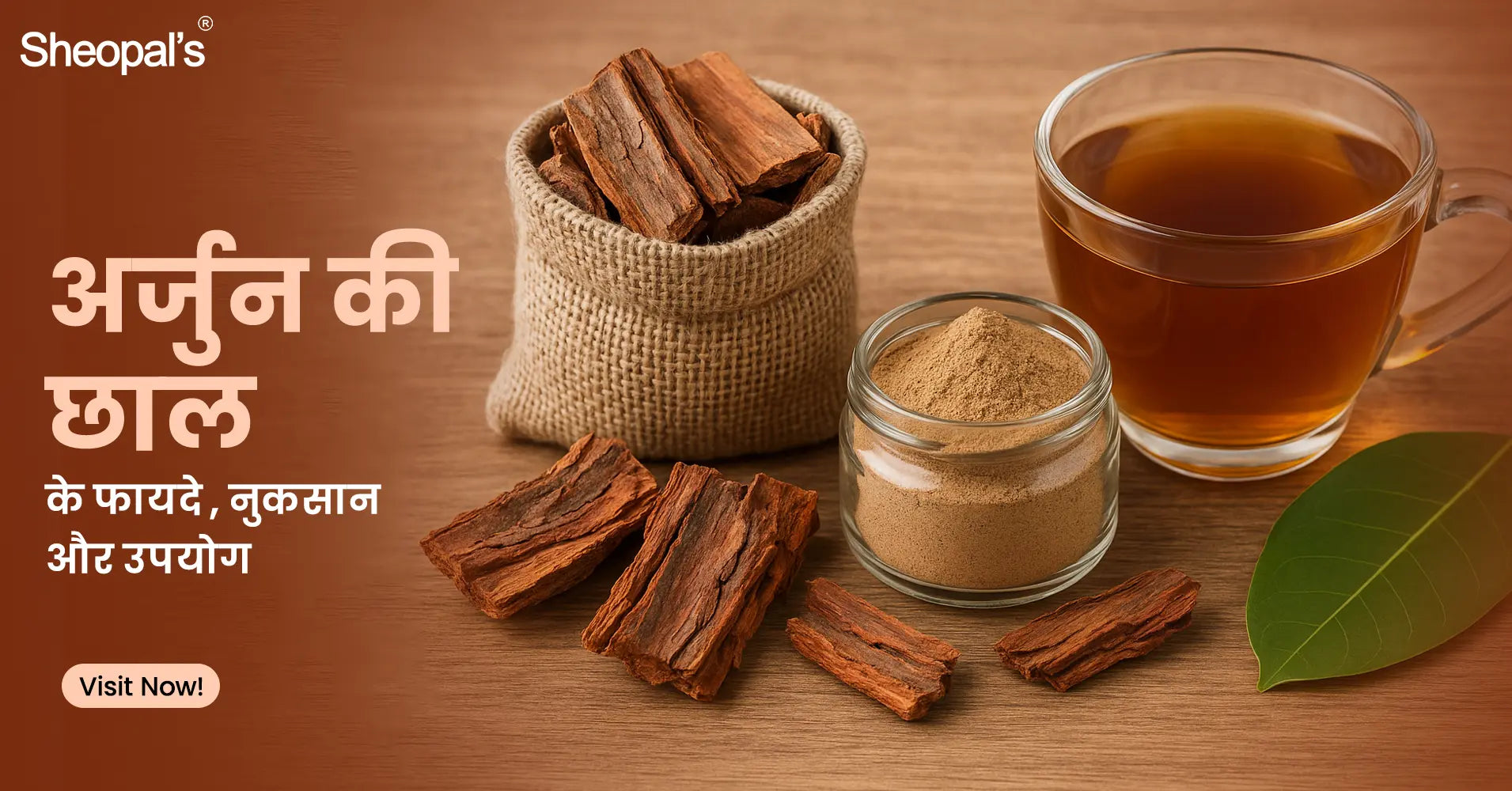 जानिए अर्जुन की छाल के फायदे और उपयोग - Arjun Ki Chhal Ke Fayde, Uses and Side Effects in Hindi ...