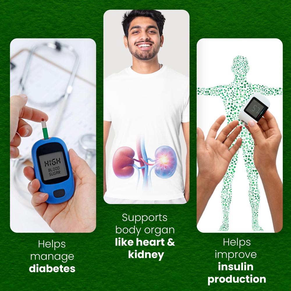 Herbal Diabdex Capsules to Control Blood Sugar Level | Sheopals