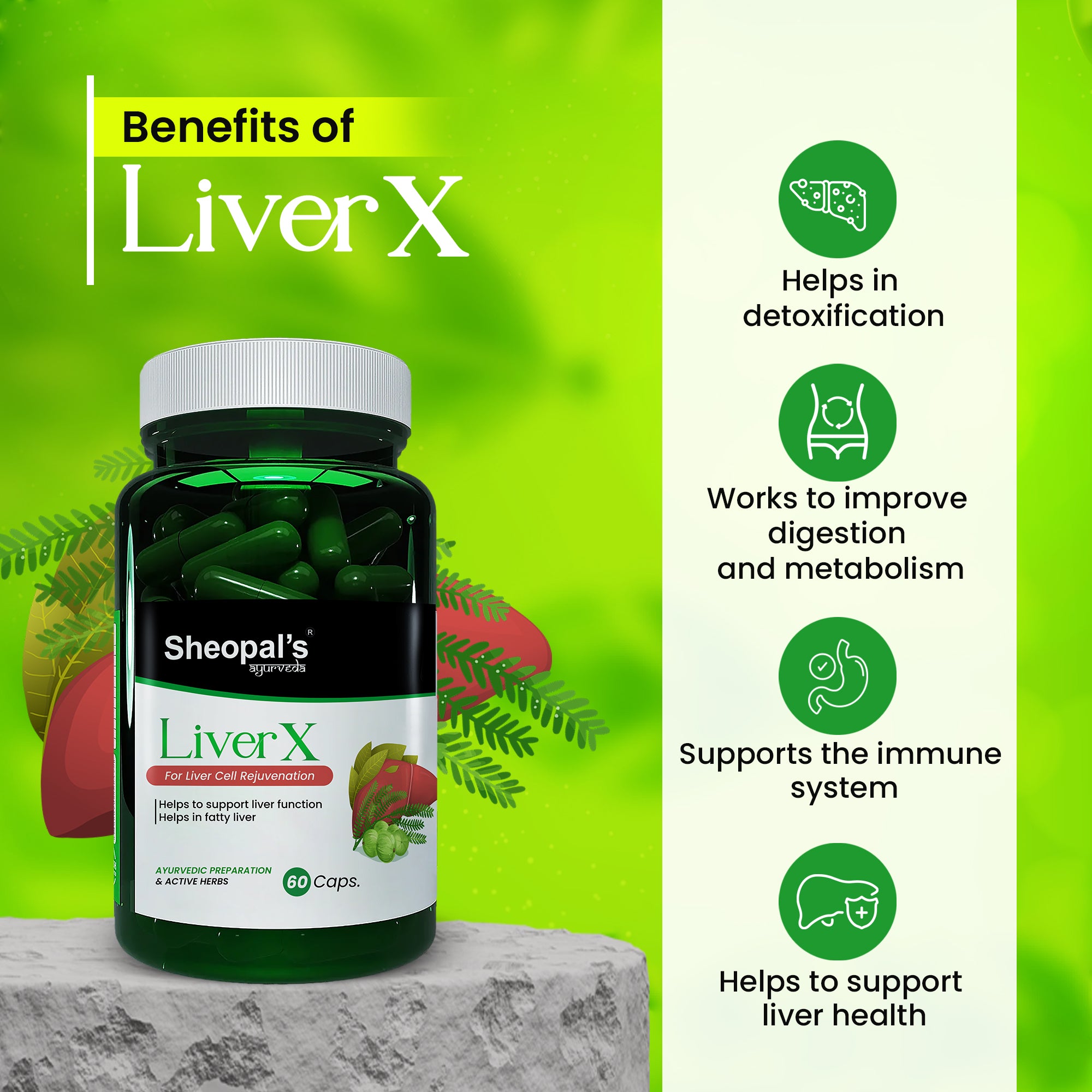 LiverX Detoxify: Ayurveda Medicine for Fatty Liver | Sheopals