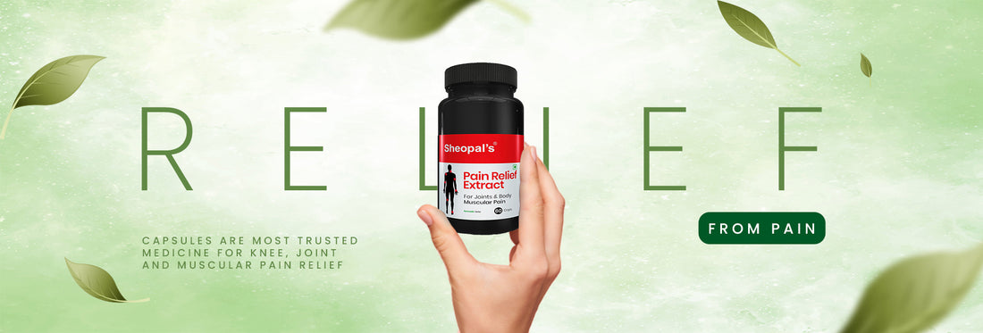 Ayurvedic Pain Relief Capsules For Body Pain | Sheopals